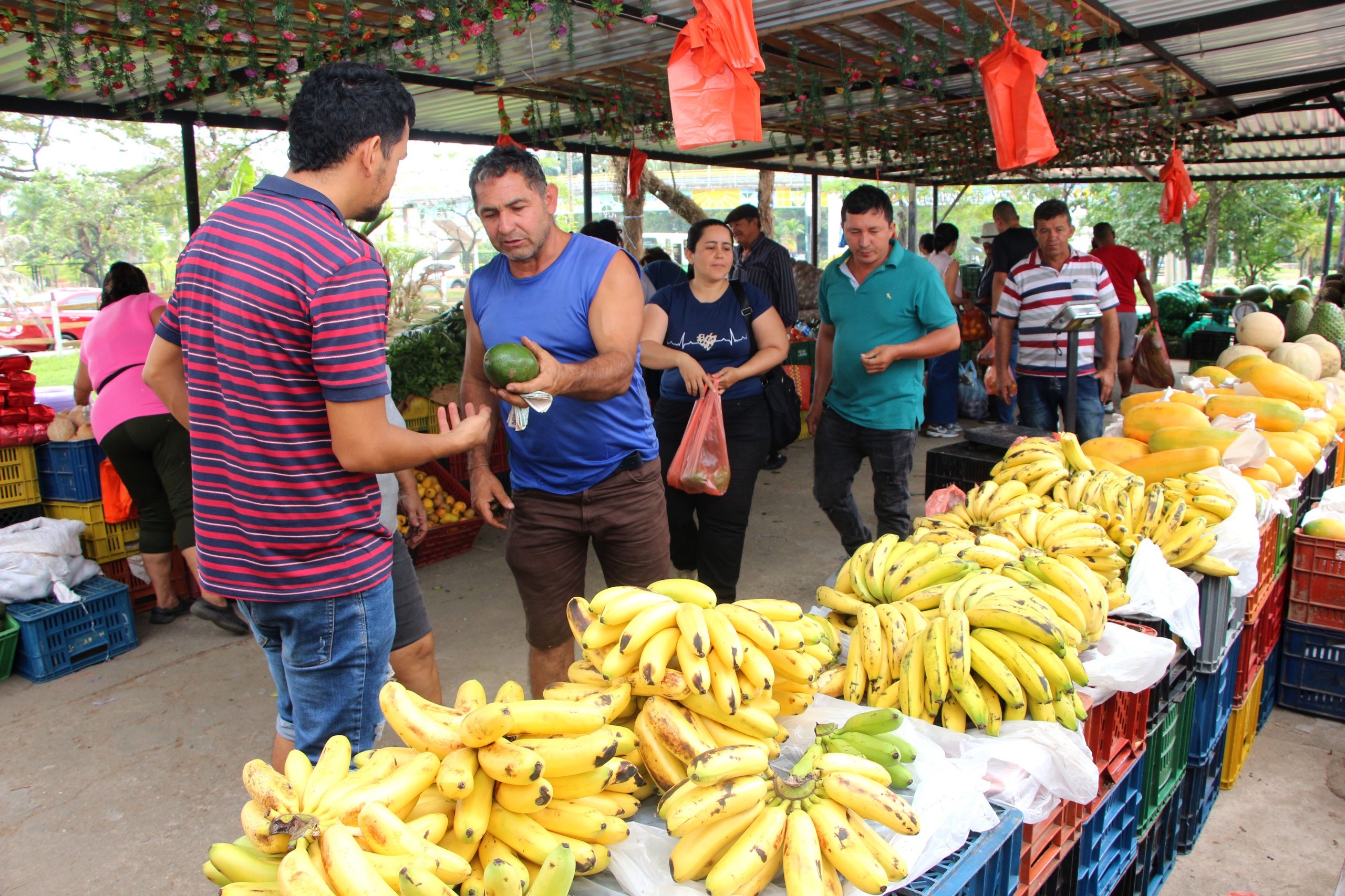 MÁS DE 19 MILLONES DE PESOS EN VENTAS REPORTÓ EL MERCADO CAMPESINO ...